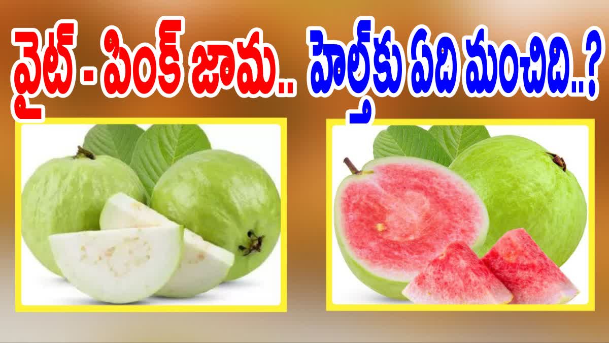 తెలుపు, గులాబీ రంగు జామ- ఇందులో ఏది ఆరోగ్యానికి మంచిది!