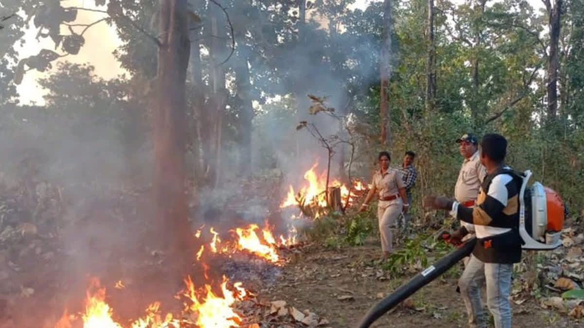 Forest Fires In Odisha: To Avoid 2024 Rerun, AI Cameras Now Keeping An ...