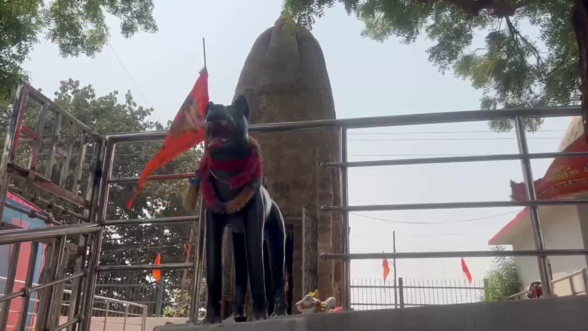 Know Fascinating Tales Behind This Dog Temple In Chhattisgarh