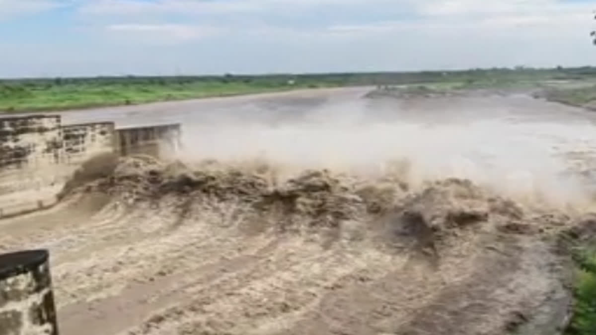 Swelling Yamuna Elevates Water Level In Haryana's Hathnikund Barrage ...