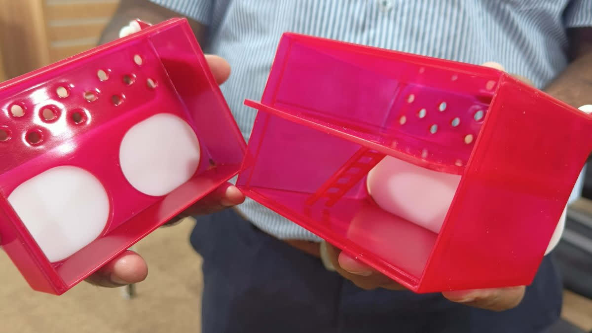 New 'Rat Box' Innovation Promises Stress-Free Handling Of Lab Rats