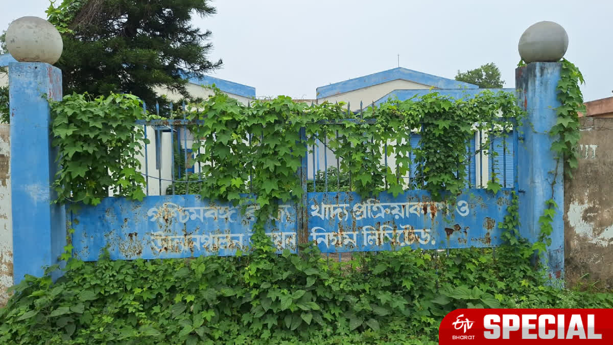 বন্ধ সরকারি প্যাক হাউসের বেসরকারিকরণের ভাবনা, আম রফতানির সংকট কাটবে কি