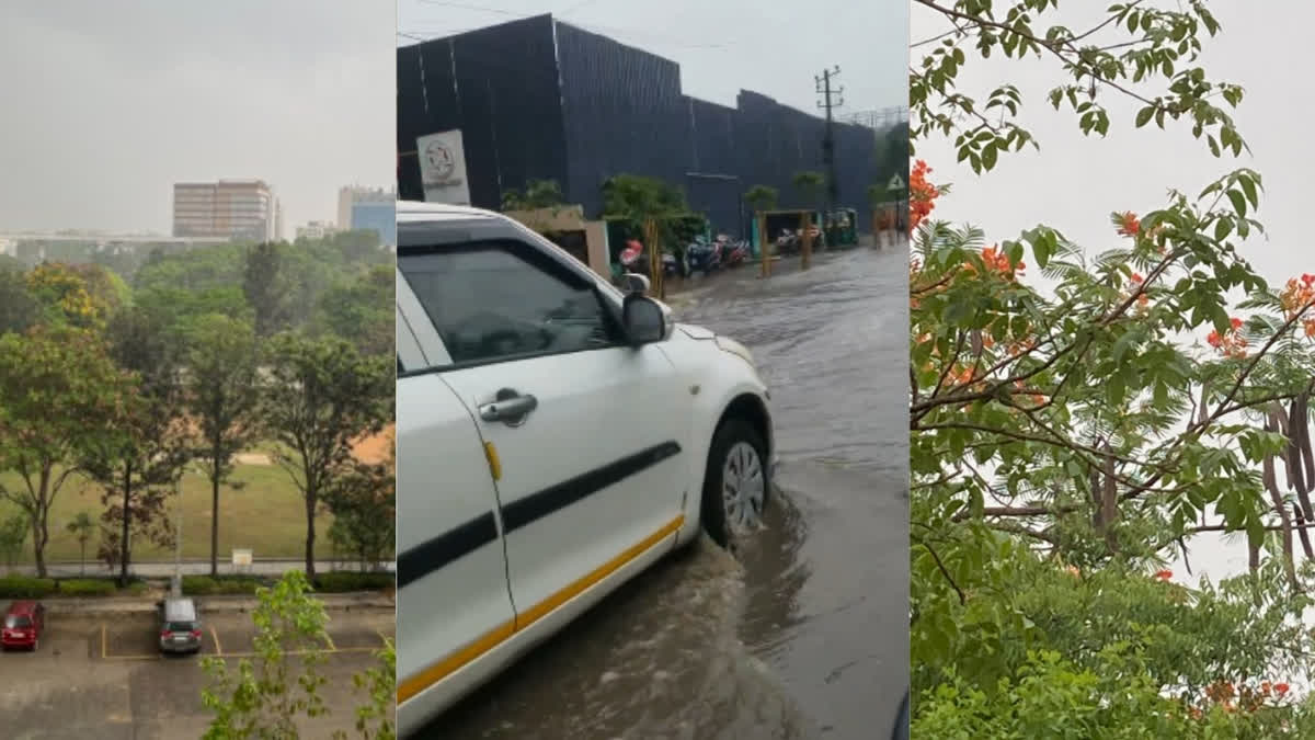 Bengaluru Wakes Up To Heavy Rain As IMD Issues Yellow Alert; Thunderstorms Likely Throughout The Day
