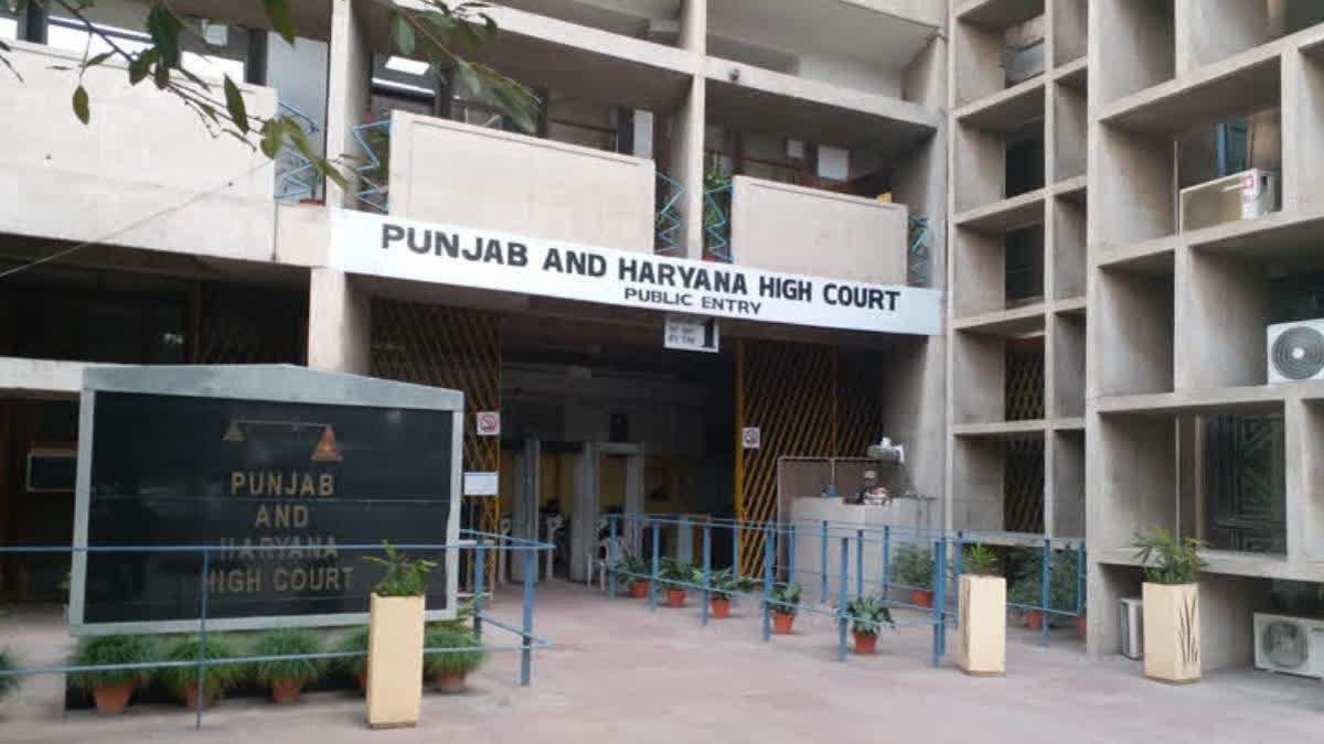 Colonel Bath Assault Case: Punjab And Haryana HC Hands Over Probe To ...