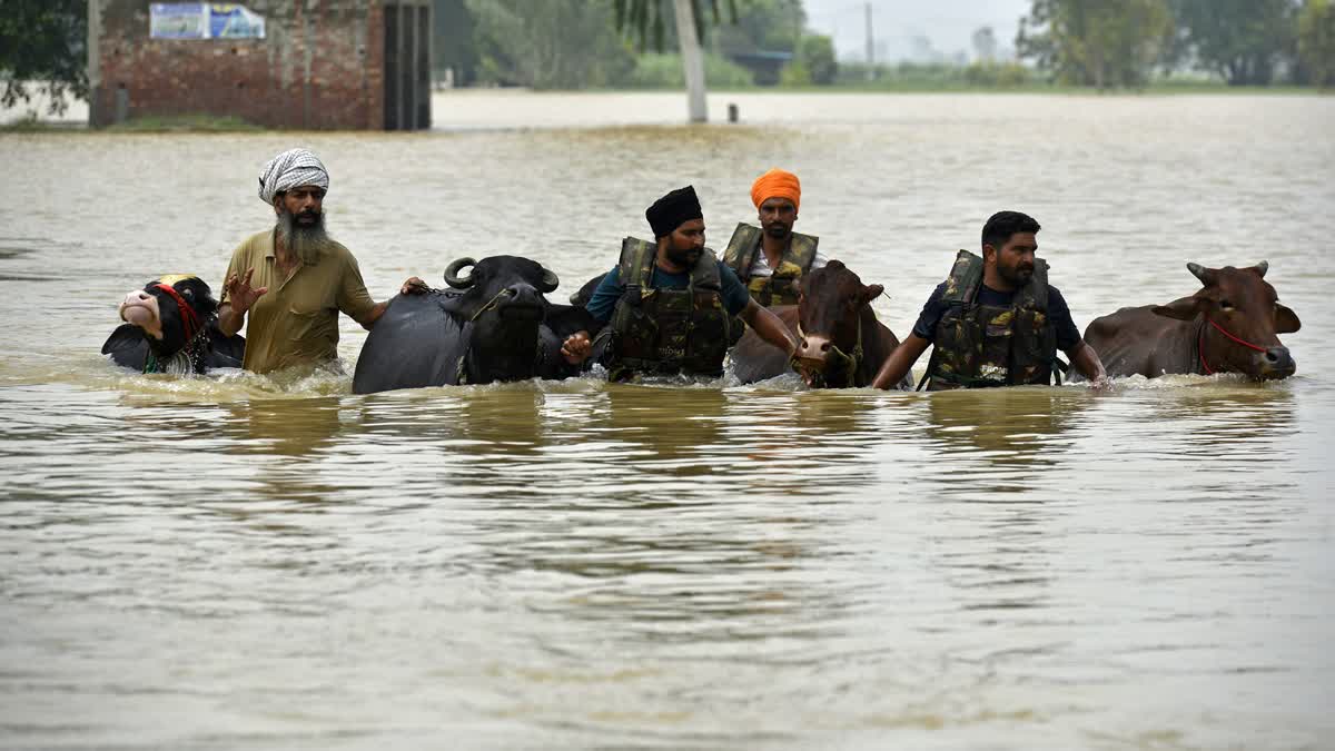 Torrential Rains Lash North India; IMD Issues Red Alerts as Floods ...