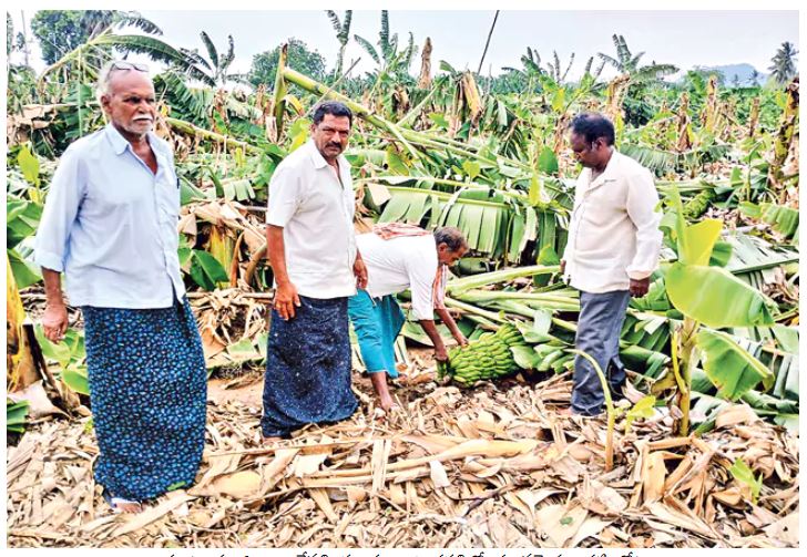 8 Killed As Heavy Rains Wreak Havoc In Andhra Pradesh; Widespread ...