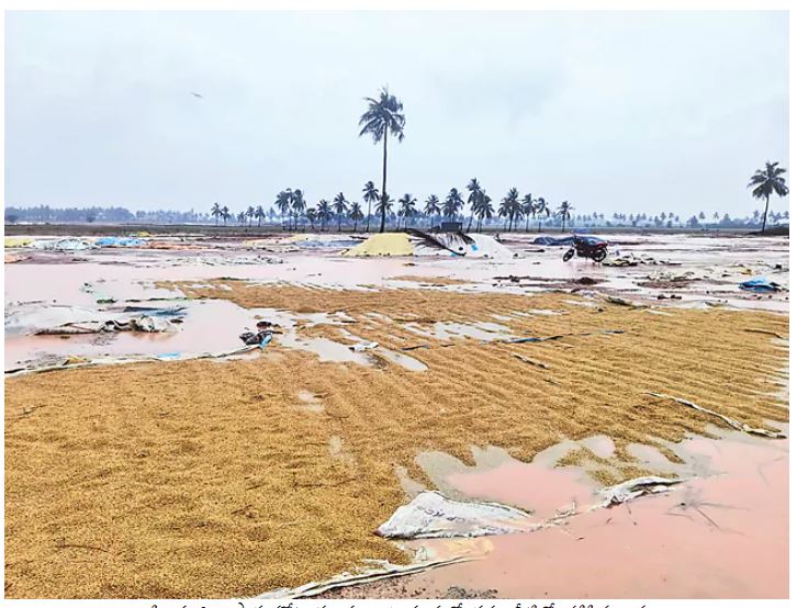 8 Killed As Heavy Rains Wreak Havoc In Andhra Pradesh; Widespread ...