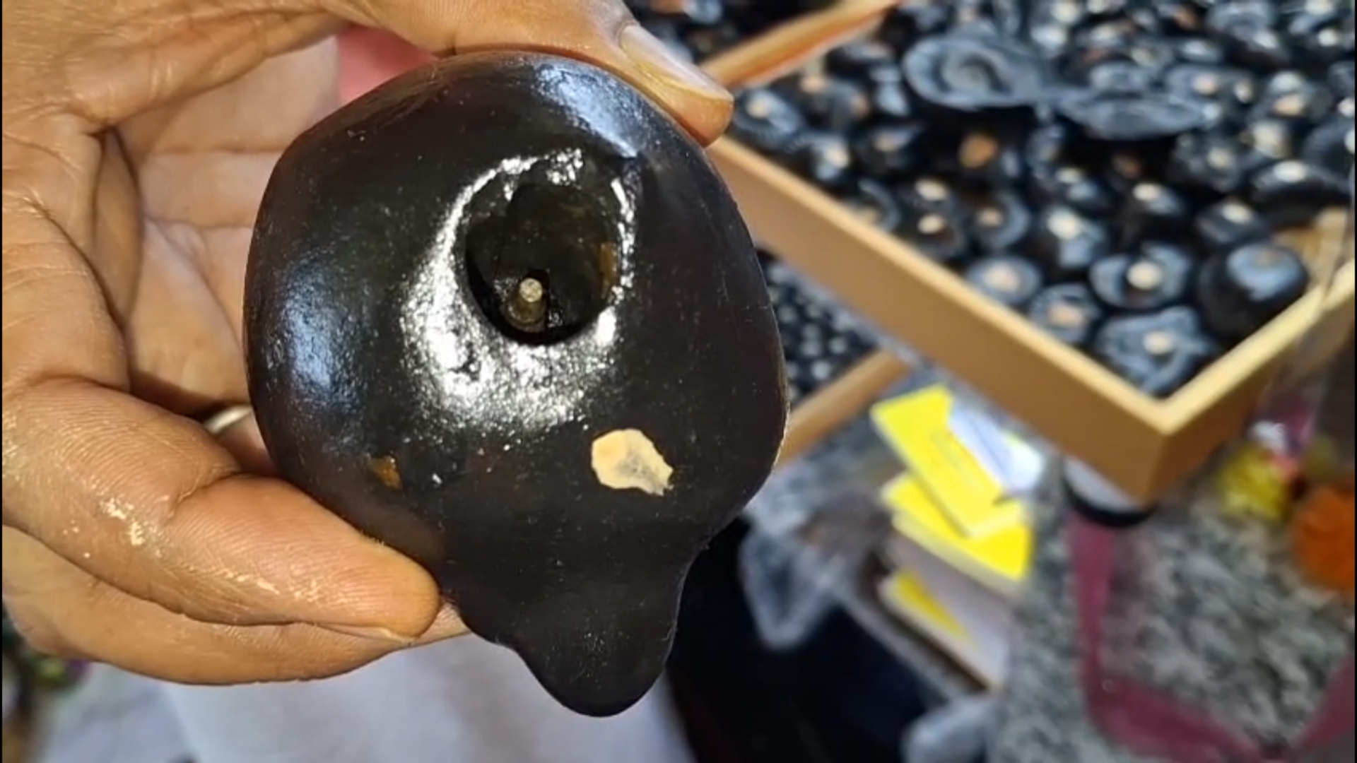 Ajmer’s Temple Of 5508 Shaligrams: Rajasthan Man Collects Lord Vishnu's Stone Incarnations ...