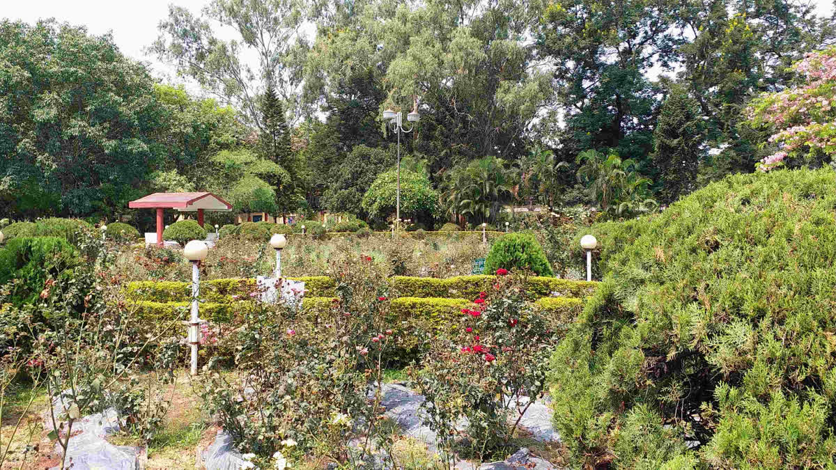 Nakshatra Van: Ranchi’s Garden Where Astrology Meets Botany And ...