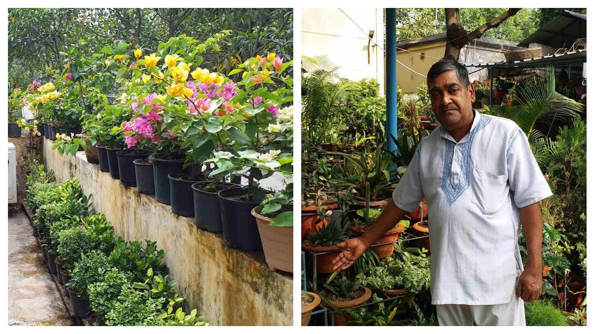 From Courtyard To Rooftop: Ranchi Man Builds A Green World At Home ...