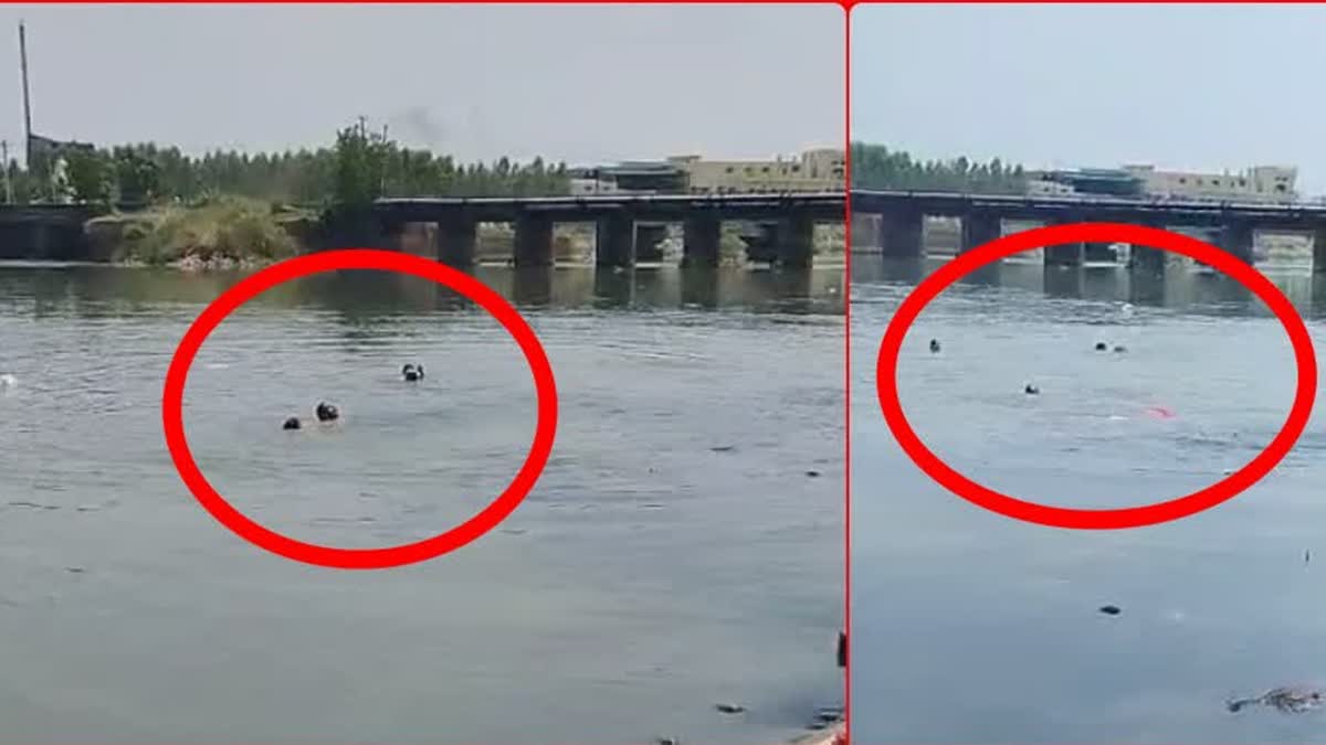 Haryana: 8 Uttar Pradesh Family Members Rescued From Drowning In Yamuna ...