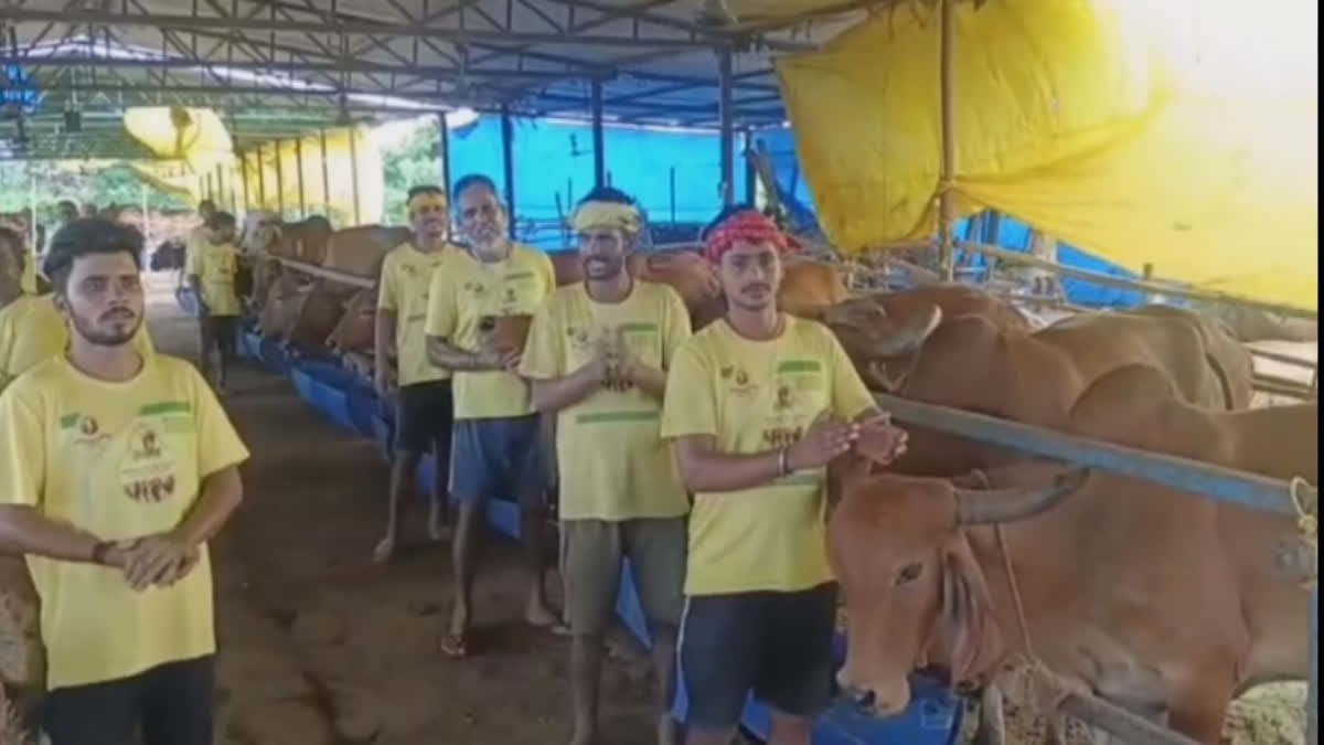 Reviving indigenous cow breeds: A remarkable initiative by a Bihar man