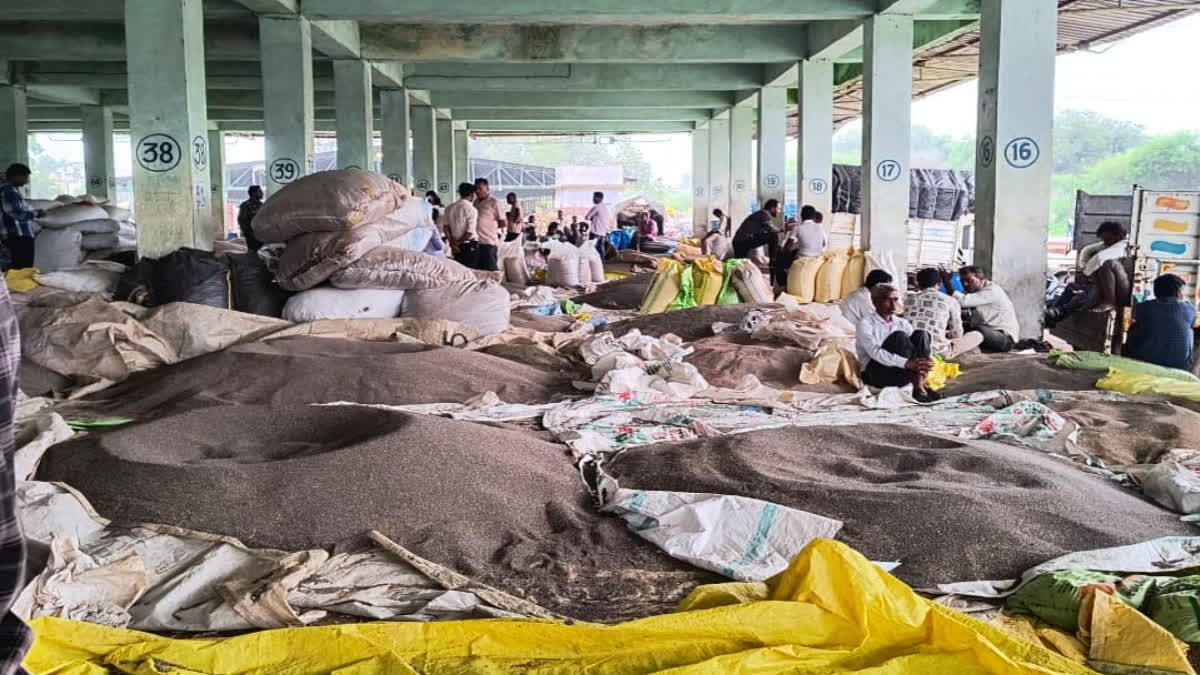 From Stones To Soil: Exploring A Unique Marketplace In MP's Neemuch