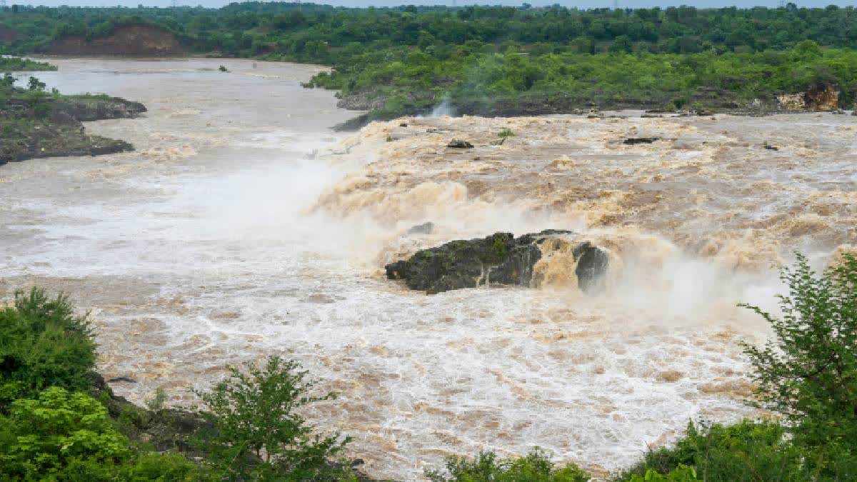 Gujarat Rains: Narmada River At Danger Mark In Bharuch, Flood Alert In ...