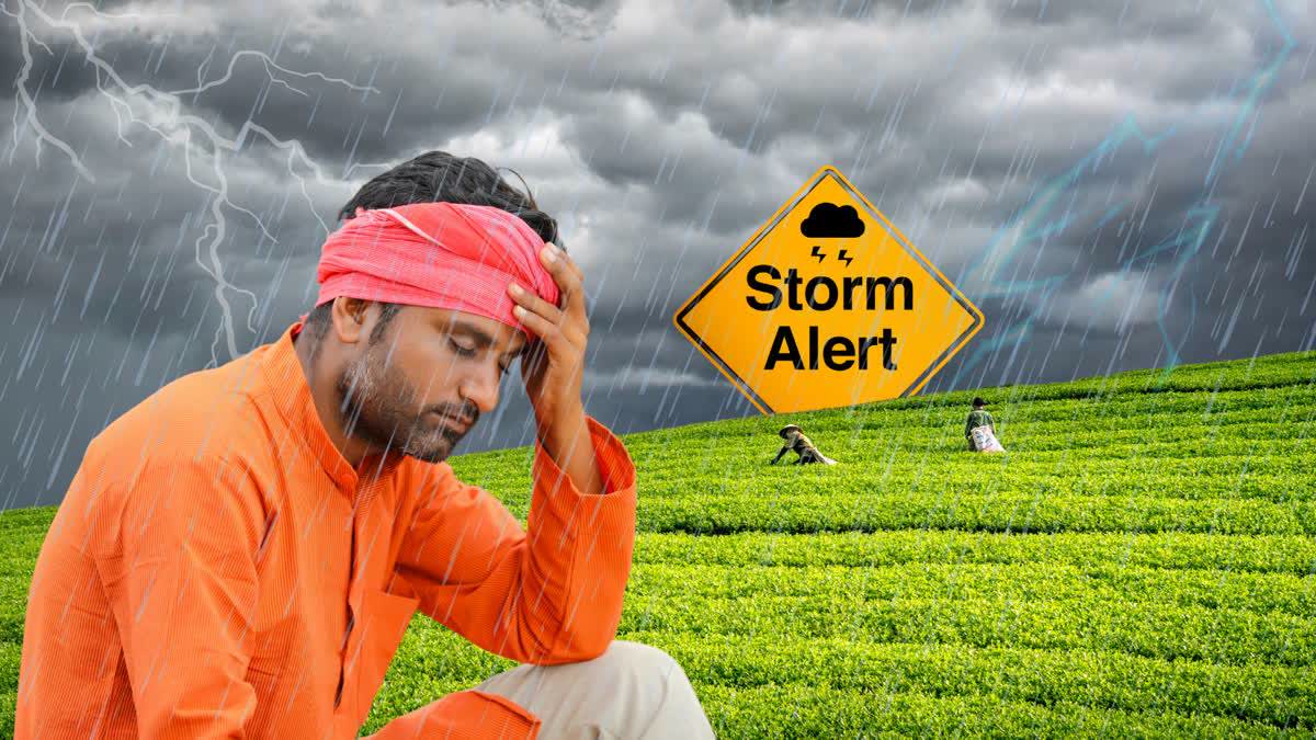 IMD Forecasts More Rain In Gujarat On May 7–8; Red Alert In Several Districts