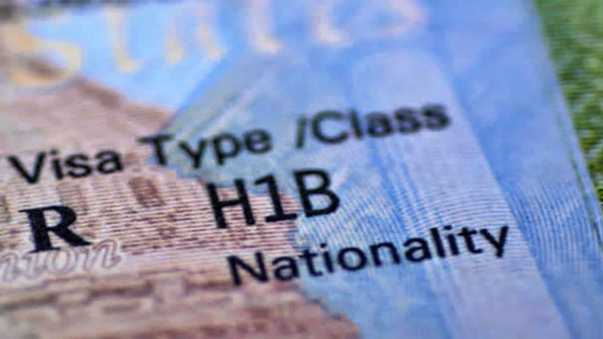 Indian Nationals Received Over 72 Per Cent Of All H1B Visas Issued From Oct 2022-Sept 2023: Govt