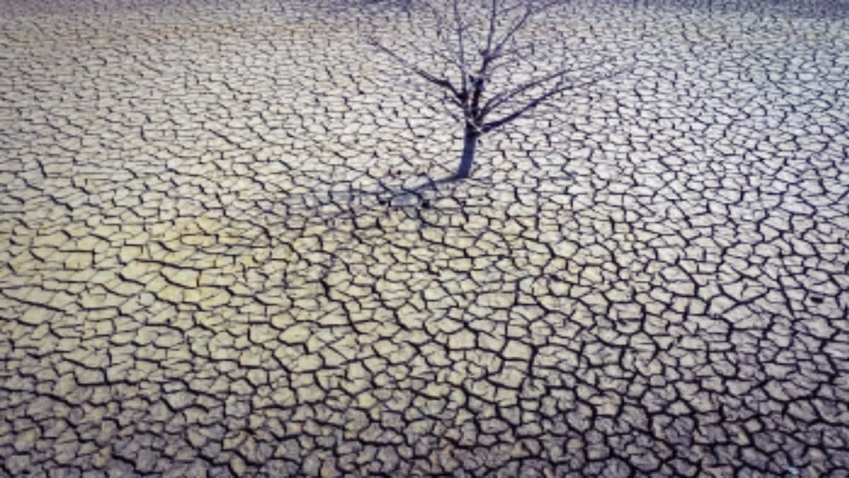 World Breached 1.5-Degree Limit for Entire Year for First Time ...