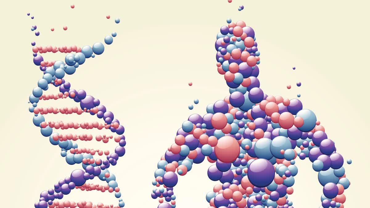 AlphaFold 3: Google Unveils AI Model to Predict Behaviour of Human ...