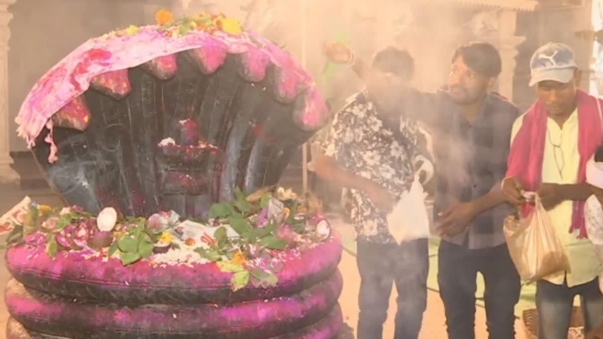 'Keslapur Nagoba Jatara' Unveils Enduring Saga of Tribal Customs and ...