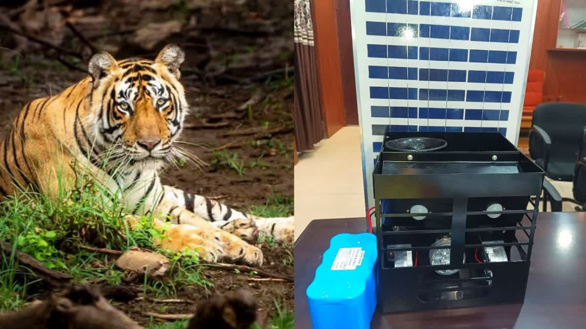 Pakke Tiger Reserve To Install ANIDER Systems To Curb Human-Wildlife ...