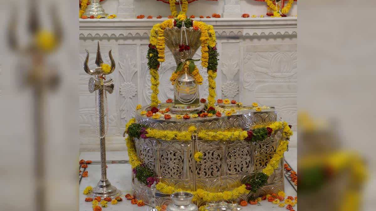 సంతాన భాగ్యం ప్రసాదించే మహిమాన్విత 'పృథ్వీ లింగం'! - కార్తిక మాసంలో ...