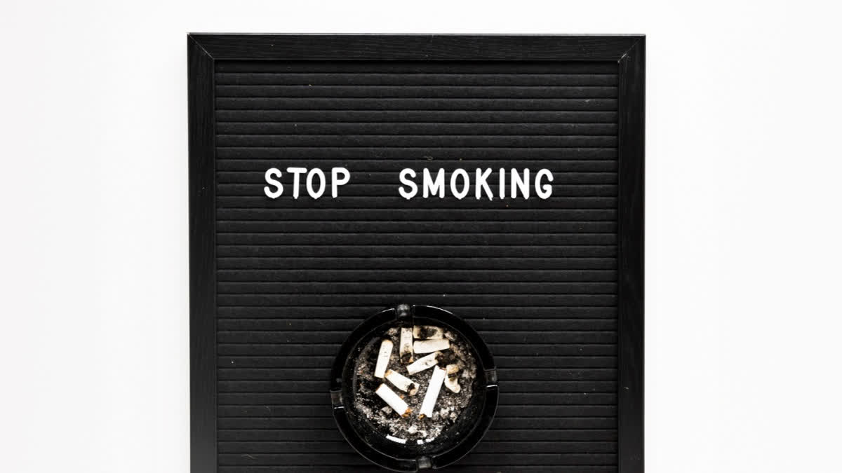 What Every Smoker Needs To Know: How Cigarettes Increase The Risk of ...