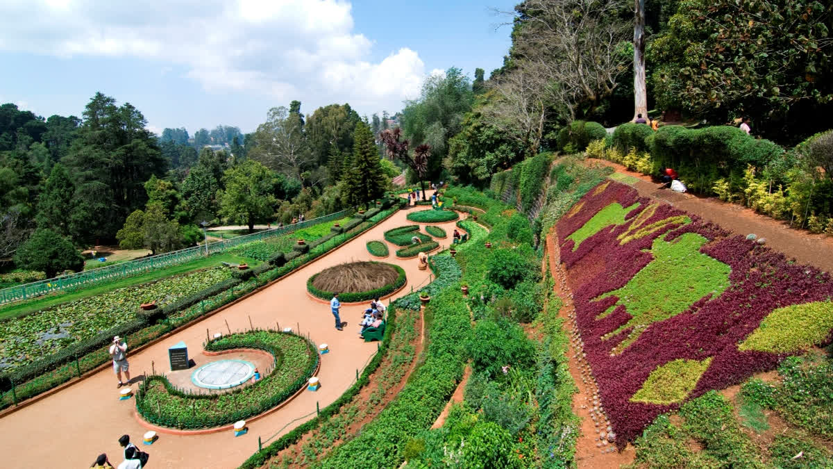 World Topiary Day: 5 Topiary Parks in India with Spectacular Green ...