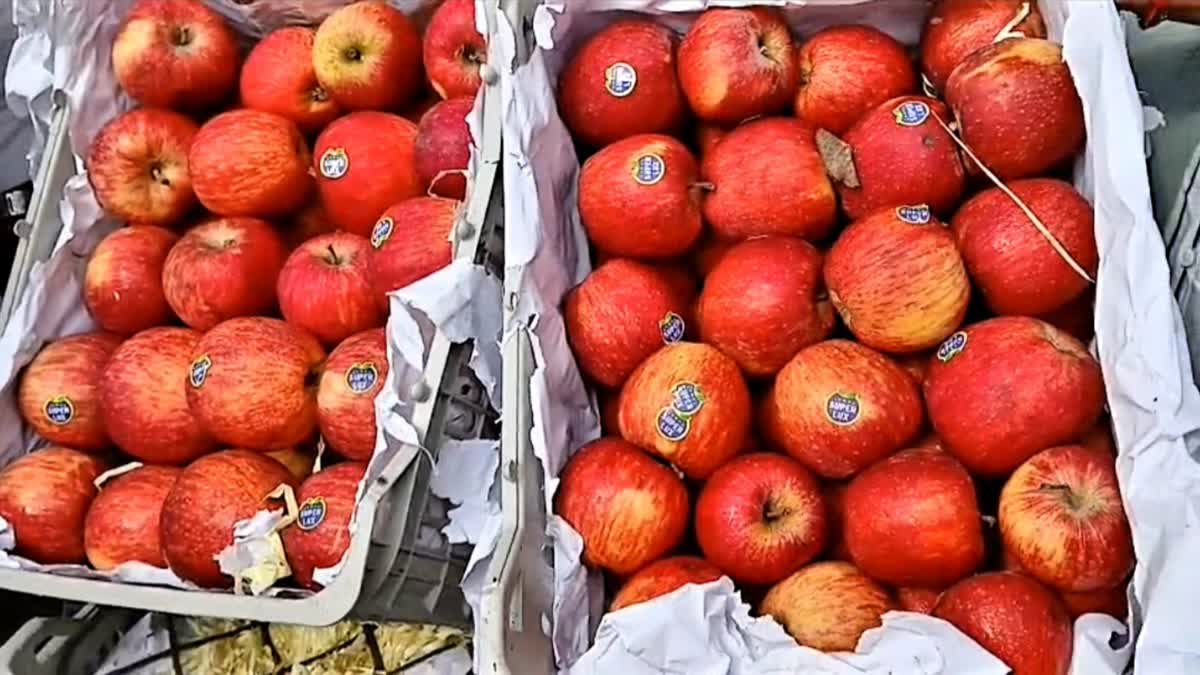 Pune: Turkish Apples Disappear From Market Due To Traders' Boycott ...