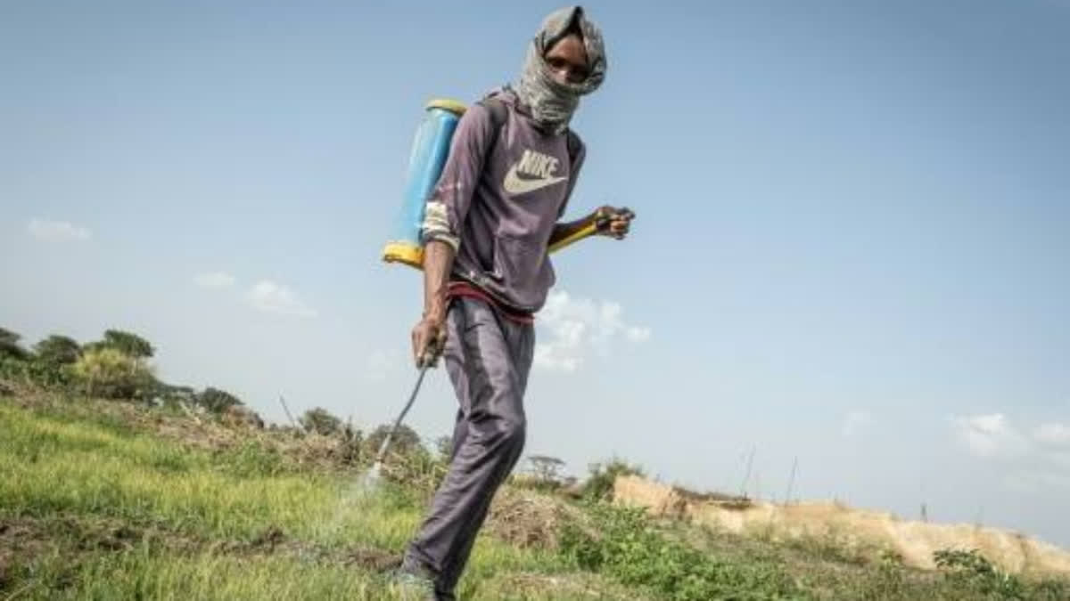 Ethiopia's Vast Lake Being Pumped Dry