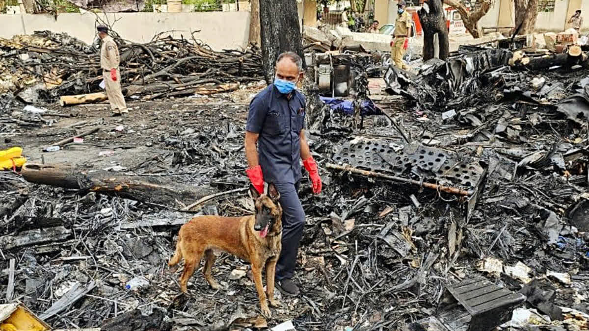 Explainer | Fuel Switches, RAT Deployment, And Silence from Engines ...