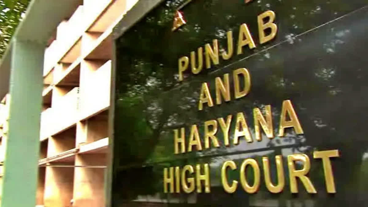Punjab And Haryana Hc Opens 3 Of 4 Reports By Sit On Drugs Issue