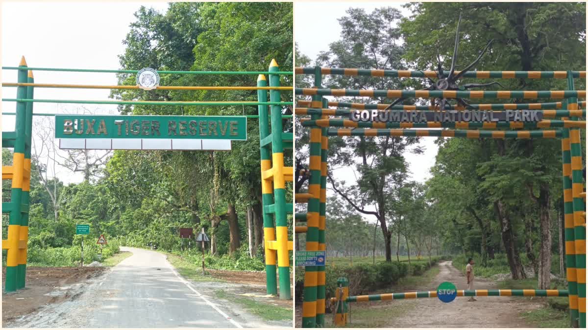 North Bengal Forests: বণ্যপ্রাণীদের নিরাপত্তায় উত্তরের জঙ্গলে বসছে ...