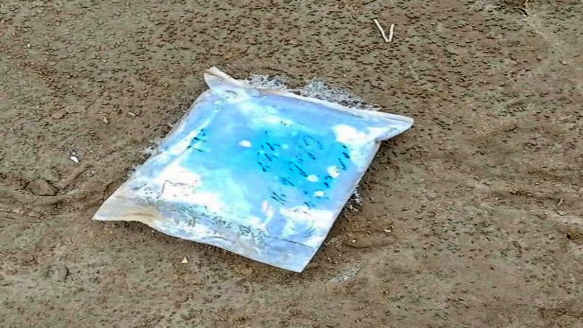 BSF recovers suspected drug packet in Gujarat's Kutch