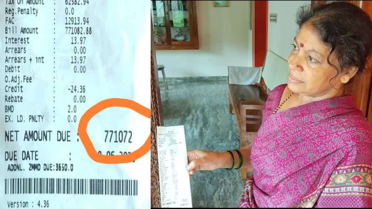 Electricity Bill: ഷോക്കടിപ്പിച്ച് ഇലക്‌ട്രിസിറ്റി ബില്‍, ഒരുമാസത്തെ ...