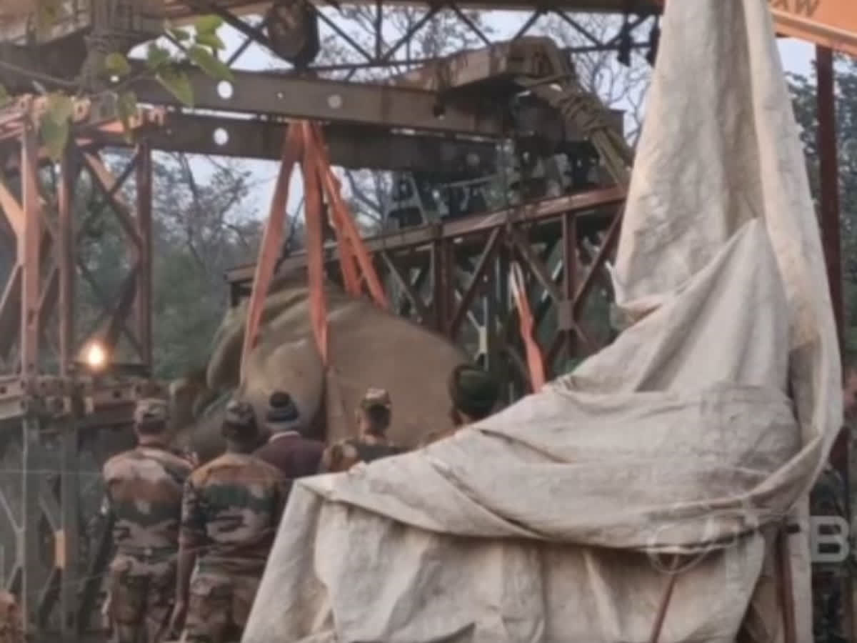 Army engineers erect steel scaffolding for ailing elephant Moti in ...