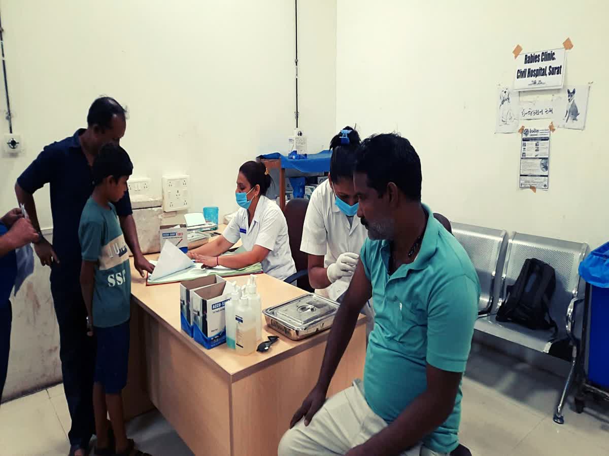 Surat News : શ્વાન કરડવાના કેસ વધતા સિવિલ હોસ્પિટલમાં નવો વોર્ડ કરાયો ...