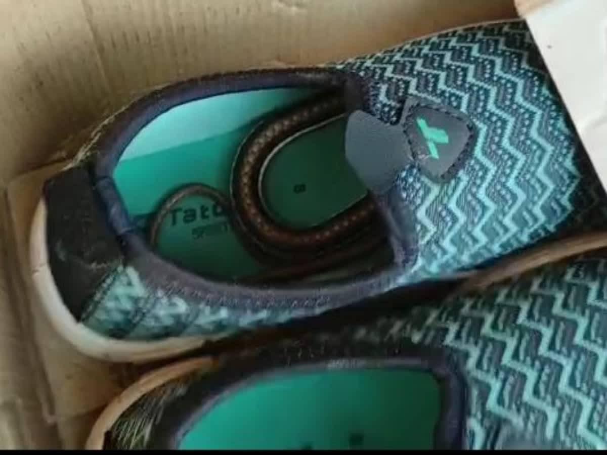 Snake catcher rescuing a snake hidden in a shoe viral video!, snake ...