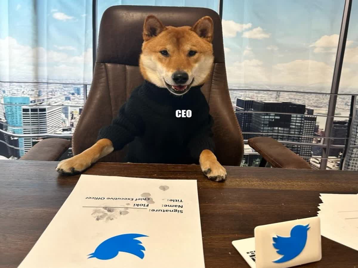 Twitter New CEO: ट्विटरच्या सीईओ पदावर एलन मस्क यांनी बसवला कुत्रा ...