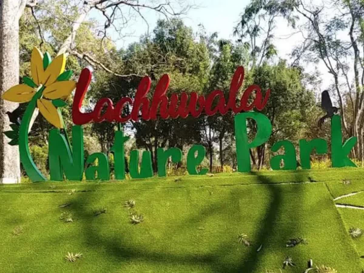 Lachhiwala Nature Park: लच्छीवाला नेचर पार्क में अब सैलानी स्विमिंग का ...