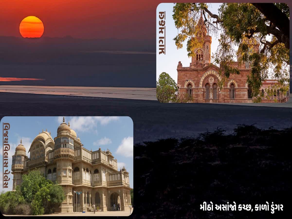 Kutchi Language: આવતીકાલે વિશ્વ કચ્છી ભાષા દિવસ, આ ભાષાને બંધારણીય ...