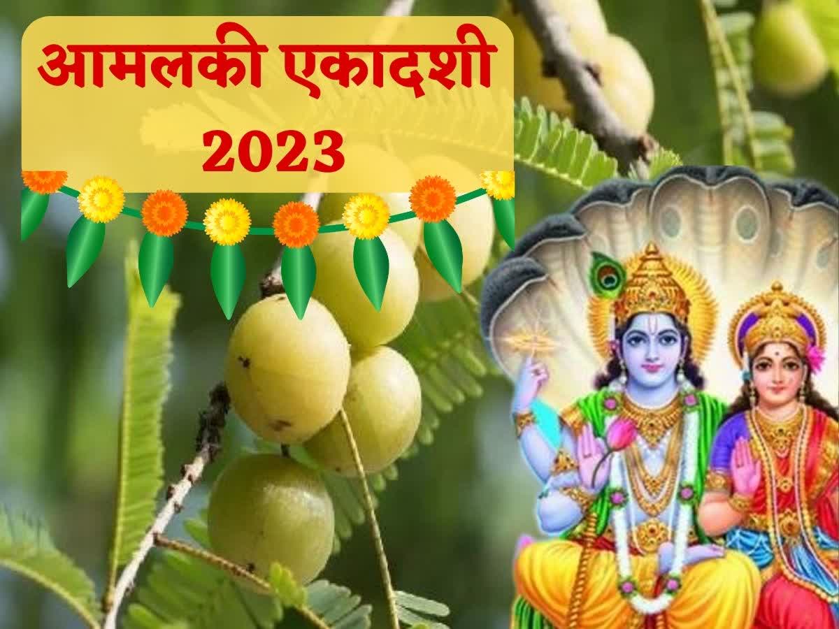 Amalaki Ekadashi 2023: 3 मार्च को रखा जाएगा आमलकी एकादशी का व्रत, आंवले ...