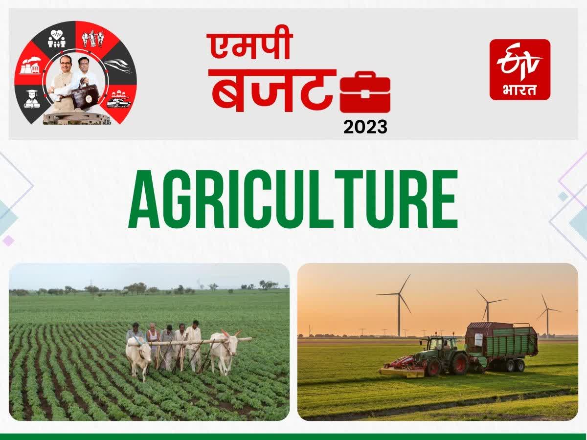 MP Budget session 2023: किसानों का कर्जा नहीं होगा माफ, सिर्फ ब्याज भरेगी सरकार, mp budget ...