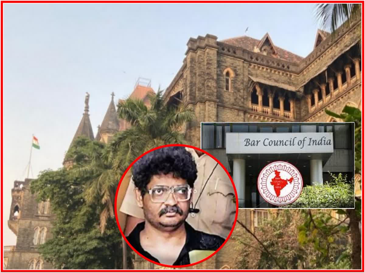 Gunwant Sadavarte In highcourt : बार कौन्सिल ऑफ इंडियाच्या याचिकेवरील ...