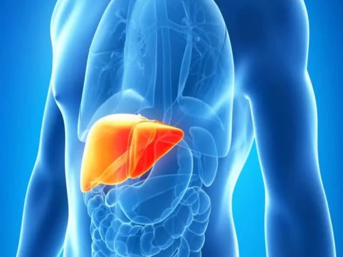 Liver Transplant of Six Year old Baby: छह महीने की बच्ची का किया गया ...