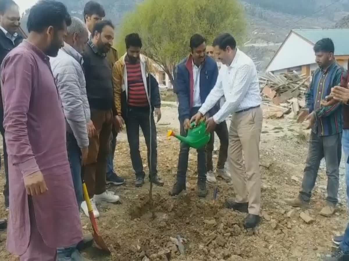 World Chinar Day این ایچ پی سی بانڈی پورہ کے کیمپس میں چنار کے پودے ...
