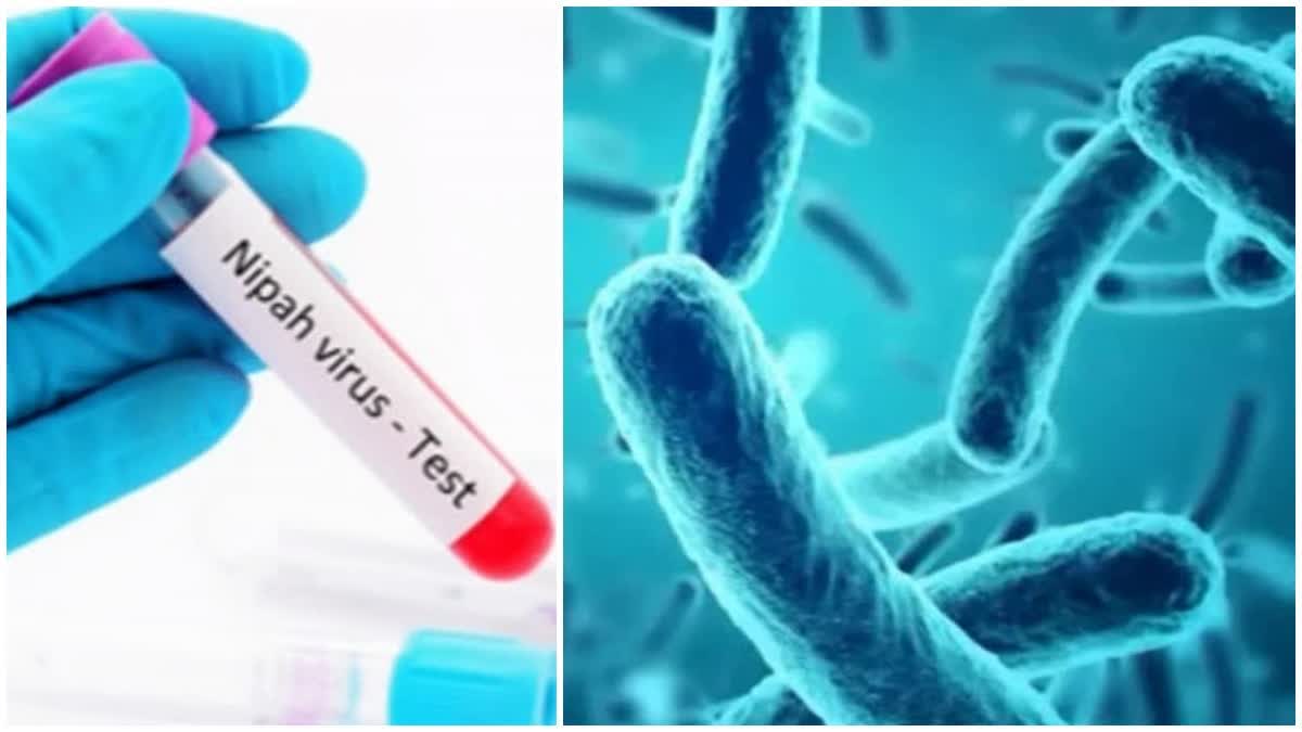 Nipah Virus Kerala : మరో ఇద్దరికి నిఫా వైరస్.. ప్రభుత్వం అలర్ట్ ... Nipah Virus Kerala : మరో ఇద్దరికి నిఫా వైరస్.. ప్రభుత్వం అలర్ట్ ...