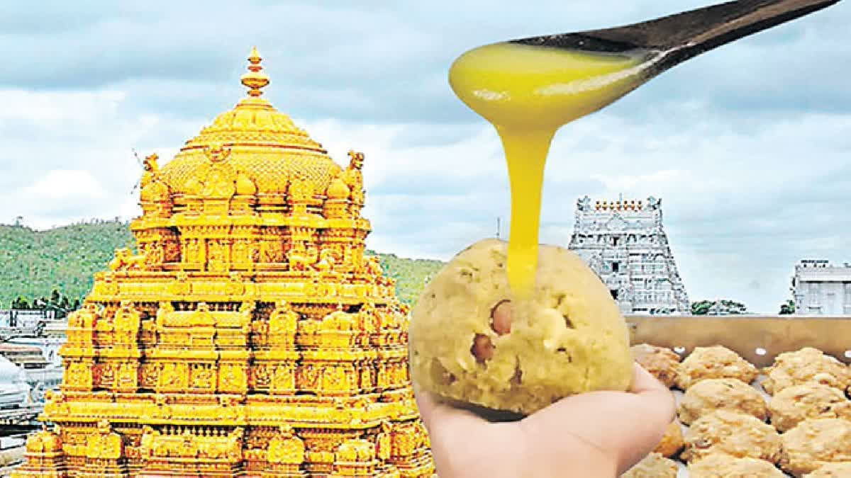 Tirumala Laddu Prasad Row: SIT Quizzes Accused In Adulterated Ghee Case, Will More Skeletons ...