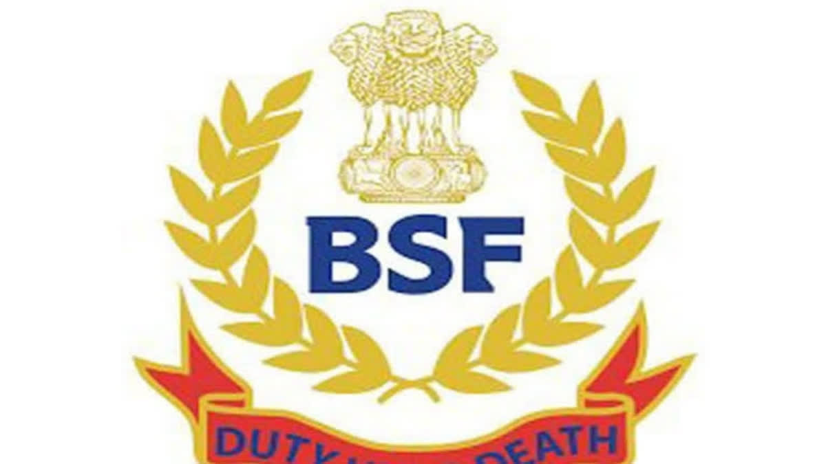 Former BSF IG Emphasises On Soft Or Peace Posting For Security Force ...