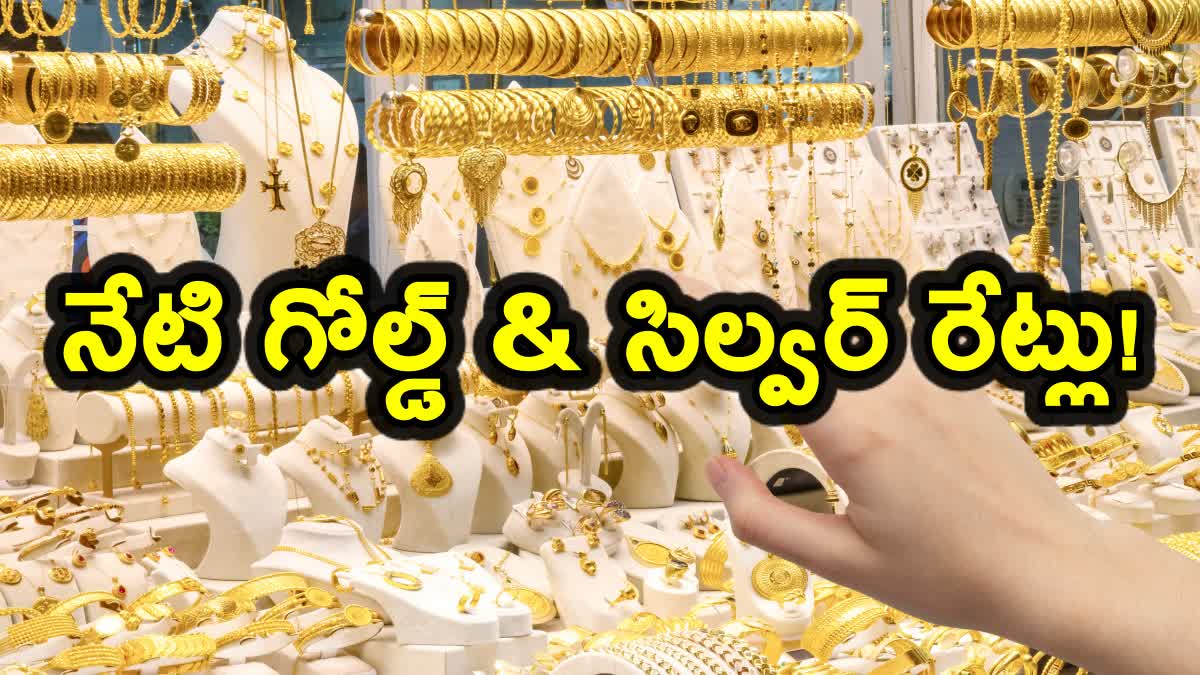 Gold Rate Today 15th October 2023 : క్రమంగా పెరుగుతున్న బంగారం ధరలు ...