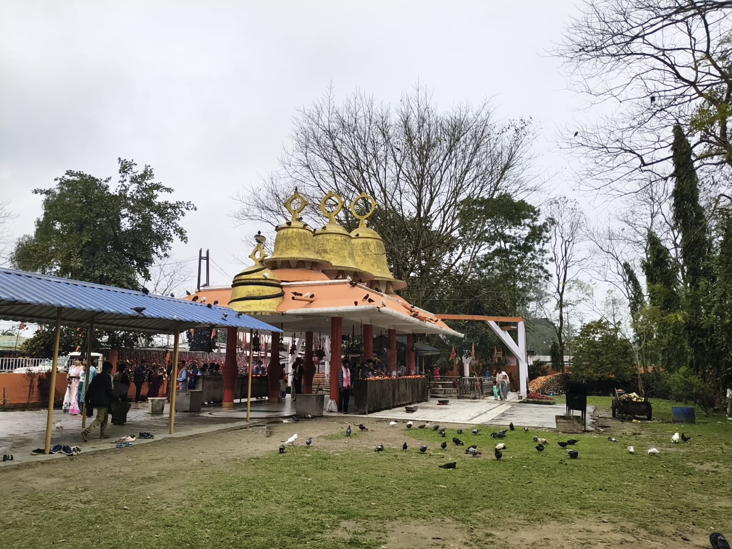 Assam's Tilinga Mandir: A 60-Year-Old Shrine Where Bells Are Hung With ...